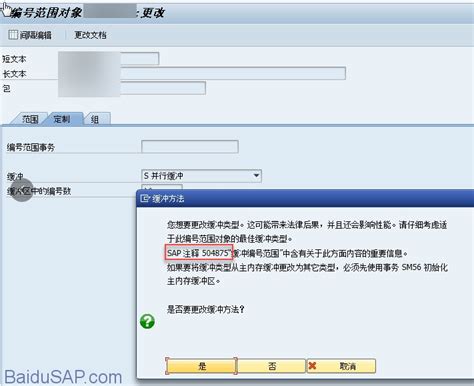 [问题解决]编码范围 number range 跳号 摆渡sap