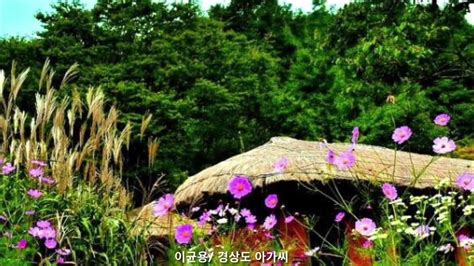 경상도 아가씨가수 이균용원곡 박재홍 Youtube