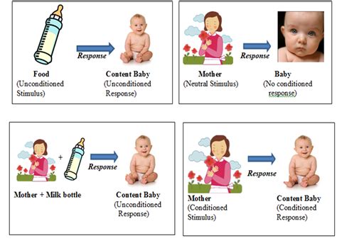 Classical Conditioning Examples Human At Sandra Moody Blog