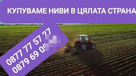 Купуваме обработваема и пустееща земя Купува имоти Плевен Купуваме обработваема и