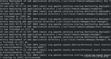 Apache Tomcat 安全漏洞cve 2020 13935复现cve 2020 13935 复现 Csdn博客