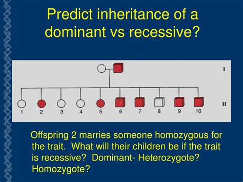Ppt Human Genetics Powerpoint Presentation Free Download Id151202