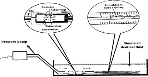 Diagram Of Fluid Filtration Apparatus Assembly Download Scientific