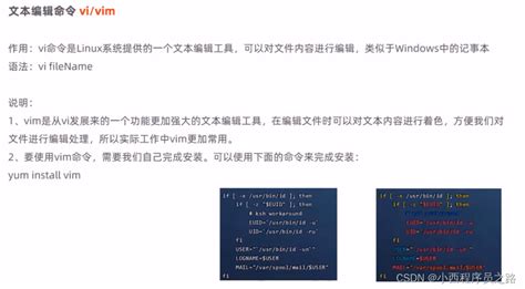 外卖项目08 linux csdn博客