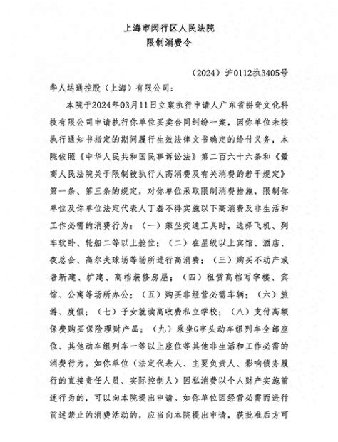 高合汽车创始人丁磊被限制高消费公司上海华人