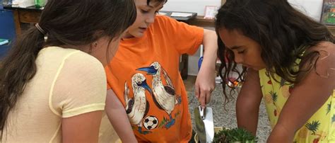 Thoughts On Small Class Sizes Chicago Friends School