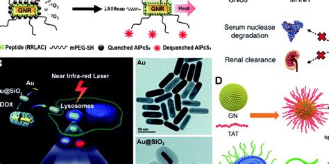 Nanoparticle Surface Chemistry Tailoring Properties For Revolutionary