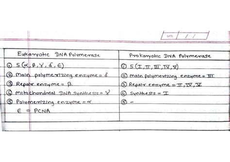 Difference Between Eukaryotic DNA Polymerase And Prokaryotic DNA Polymerase PDF