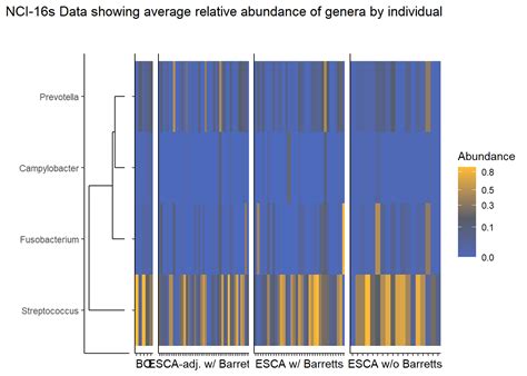 Updated Heatmaps And Dendrograms
