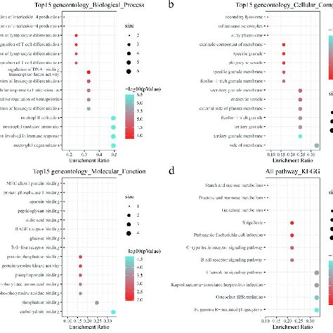 Functional Enrichment Of Functional Module Genes A Bp Annotation Of