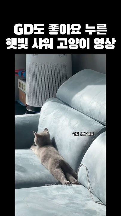 이걸 어떻게 그냥 지나쳐🥹 Youtube