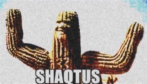 Sex Lol R Pyrocynical