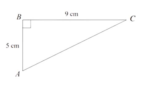 How To Use Sohcahtoa Gcse Maths Questions And Worksheet