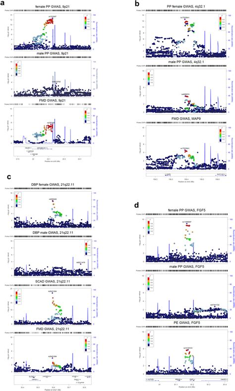 Sex Specific Genetic Architecture Of Blood Pressure Pmc Sex Specific Genetic Architecture Of Blood Pressure Pmc