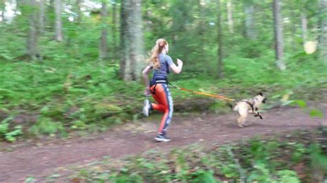 Rasa de câini desemnată drept cea mai inteligentă Observatornews ro