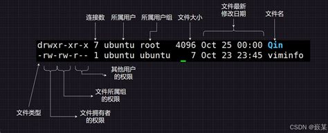 Linux：权限 Csdn博客
