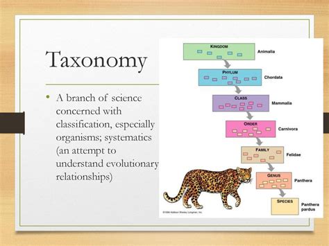 Biological Organization Africa