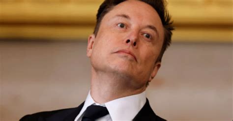 “머스크 자녀 최소 14명… 머리 작아진다며 제왕절개 강요” 주장 나와