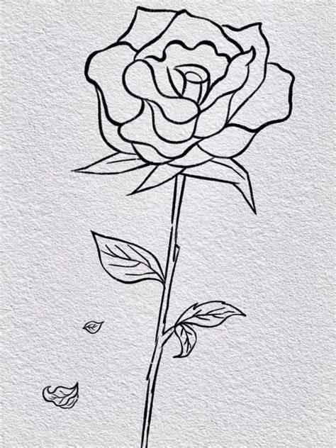 简笔画画花（精选17张） 简笔画图片大全