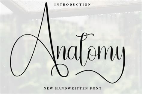Anatomy Font By Freshtypeink · Creative Fabrica