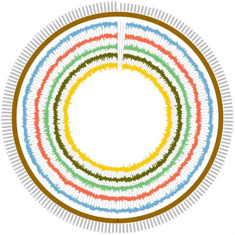 The Circos Plot Of Sample ERR For Chromosome A Plot For Download Scientific Diagram