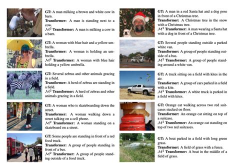 9 Examples Of Captions Generated By M 2 Transformer And The Original