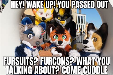 Furryirl Album On Imgur