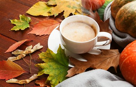 단풍과 양탄자를 둘러싸인 나무 테이블에 뜨거운 향기로운 커피 한잔과 함께을 배경 0명에 대한 스톡 사진 및 기타 이미지 0명 가을 겨울 Istock