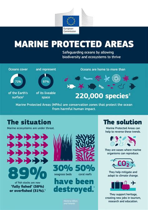 The Ocean Robotics Project On Linkedin The Ocean Robotics Project Plants New Kelp Forests After