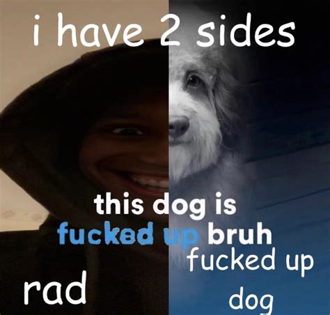I Have 2 Sides This Dog Is Fucked Up Bruh Know Your Meme