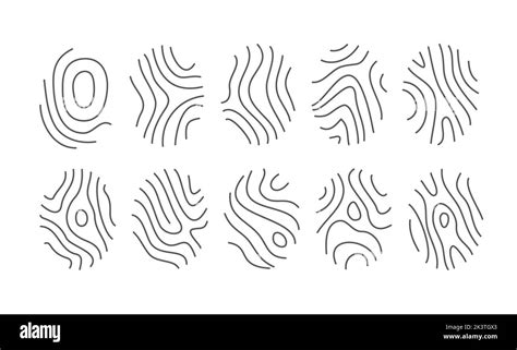 Touch Id Icon And Digital Privacy Isolated Vector Illustration Fingerprint Vector Set Stock