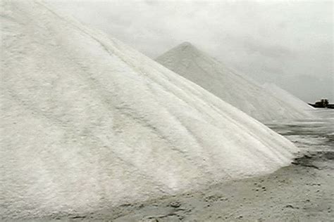 Deborah Jack Bounty 2004