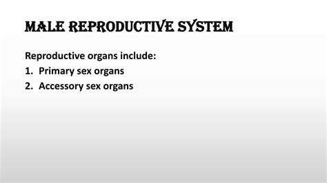 Reproductive System Lecture 1pdf Infertility Reproductive Health