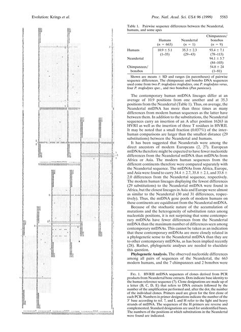 Dna Sequence Of The Mitochondrial Hypervariable Region Ii Krings Et Al