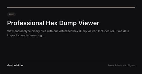 Professional Hex Dump Viewer Devtoolkit