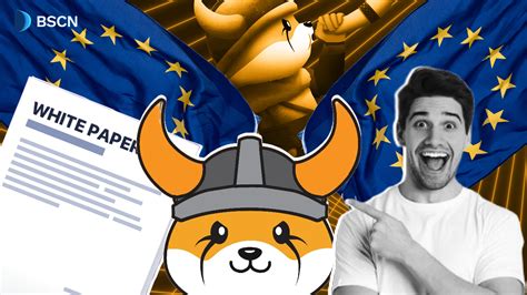 Floki Makes History With First Micar Compliant White Paper Approved By Esma