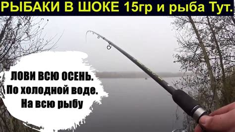 На рыбалке добавил в насадку и прикормку рыбаки в шоке! как? Активатор ...