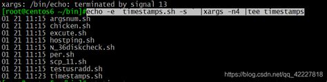 linux echo命令换行写入文件 echo换行写入文件内容 csdn博客