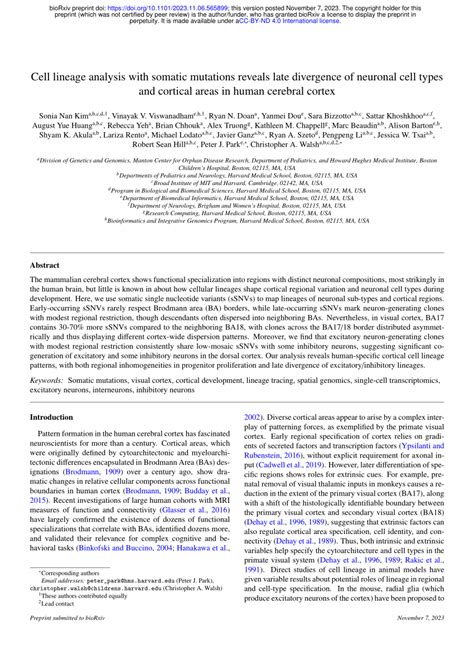 Pdf Cell Lineage Analysis With Somatic Mutations Reveals Late Divergence Of Neuronal Cell
