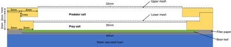 Schematic View Of The Experimental Unit With The Predator And Prey