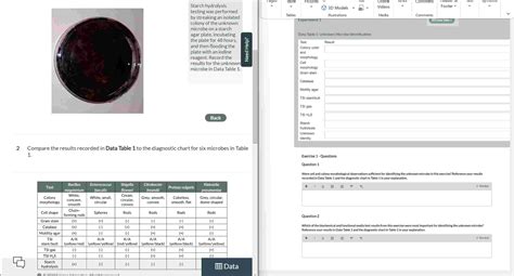 Solved Unknown Microbe Identificationuse Images Provided To