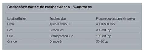 Loading Buffer Low Molecular Weight Dna Ladder Neb