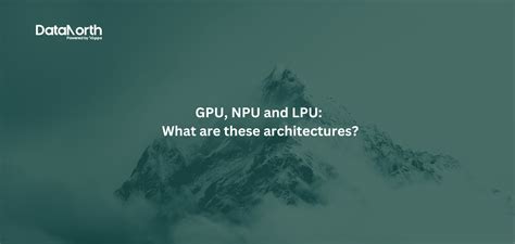 gpu lpu and npu what are these architectures datanorth