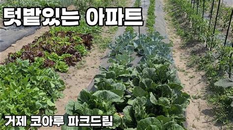 거제 코아루파크드림 텃밭낚시해변산책 다되는아파트 365일 휴양지에 사는 여유로운 아파트 거제아파트거제세컨하우스거제전세거제바다뷰아파트거제전원주택거제미분양거제