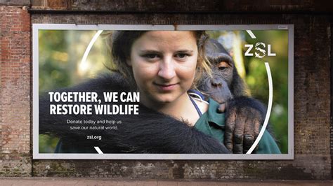 Zsl Work Rbl Brand Agency