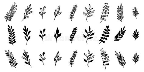 Leaf Doodle Set Stock Illustrations 91649 Leaf Doodle Set Stock