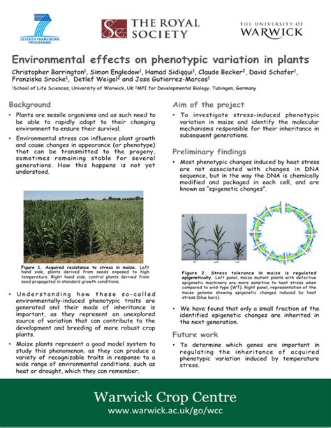 Environmental Effects On Phenotypic Variation In Plants