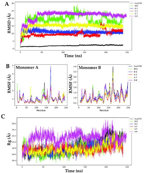 Molecular Dynamics Simulation Analysis Of B 3 S 3 S 7 S 8 And Btz