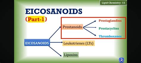 Eicosanoids Lipid Biochemistry Eicosanoids Definition Pdf Endocrine And Metabolic Diseases