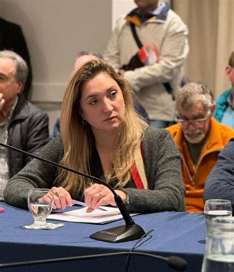 La Senadora Ahumada Le Apuntó A Sileoni “cinco De Cada 10 Chicos No